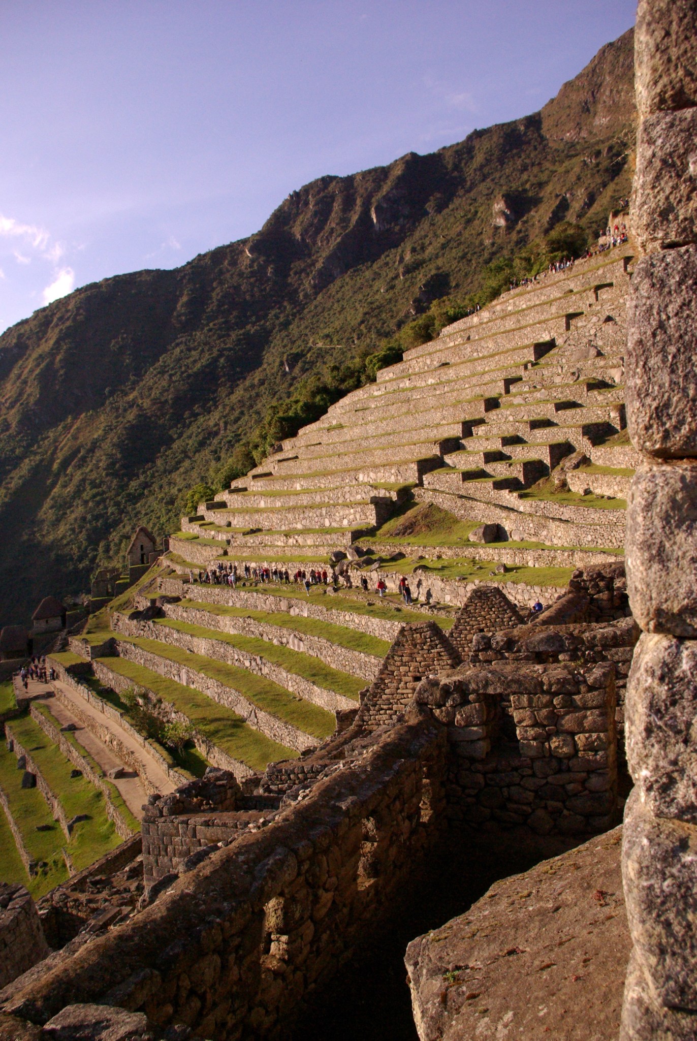 Stepping up Scrutiny of ERA Claims | Insolvency Oracle